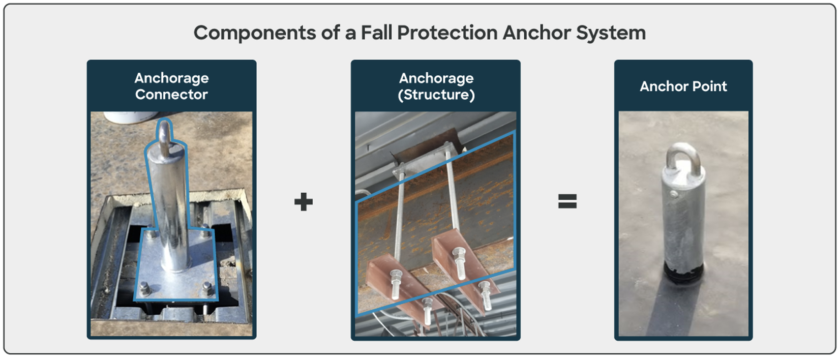 Understanding Anchors vs. Anchorage in Fall Protection for Safety